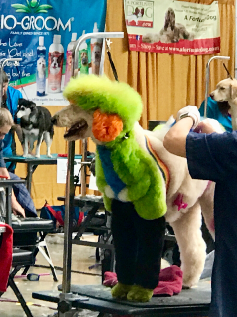 Jake and Maggie's First Pet Expo Experience - Two Adorable Labs