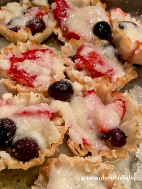 Strawberry Blueberry Tart - Two Adorable Labs