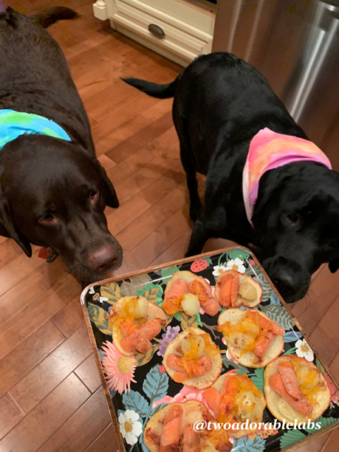 Breakfast Appetizers For Your Pup - Two Adorable Labs