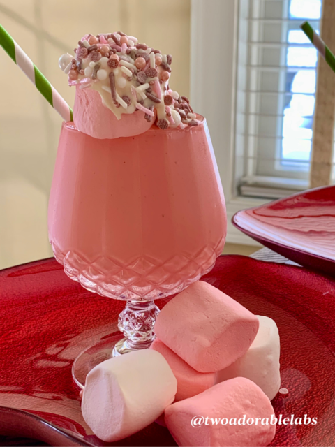 Valentine's Day Milkshake - Two Adorable Labs