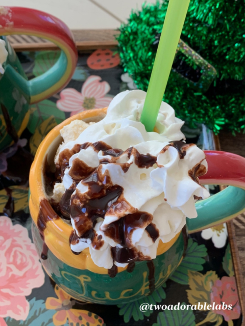 Root Beer Float With Chocolate Syrup - Two Adorable Labs