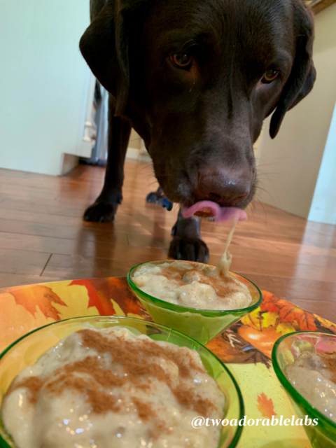 Doggie Banana Pudding - Two Adorable Labs