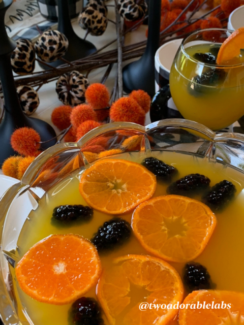 Fruity Fall Party Punch - Two Adorable Labs