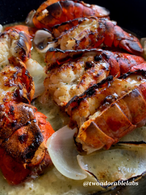 Broiled Lobster - Two Adorable Labs