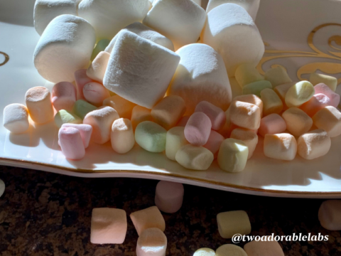 How To Make Marshmallow Snowflakes - Two Adorable Labs