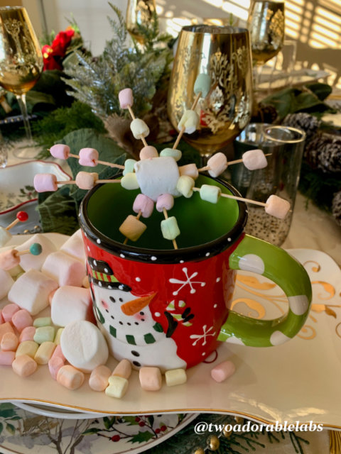 How To Make Marshmallow Snowflakes - Two Adorable Labs