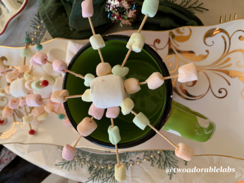 How To Make Marshmallow Snowflakes - Two Adorable Labs